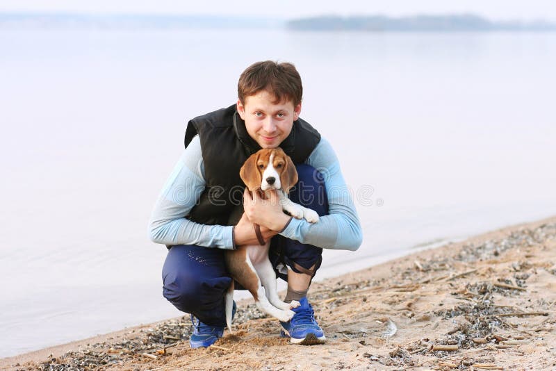 Beagle dog with its owner stock photo. Image of people - 77409684