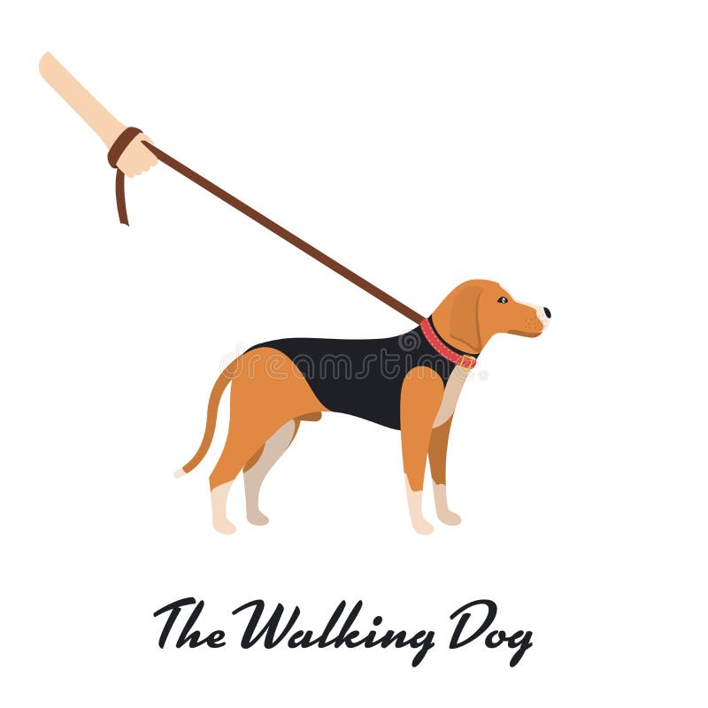 Beagle Dog with a leash stock vector. Illustration of business - 80289687