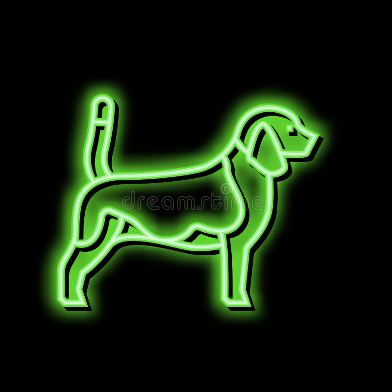 Beagle Dog Neon Glow Icon Illustration Stock Vector - Illustration of ...