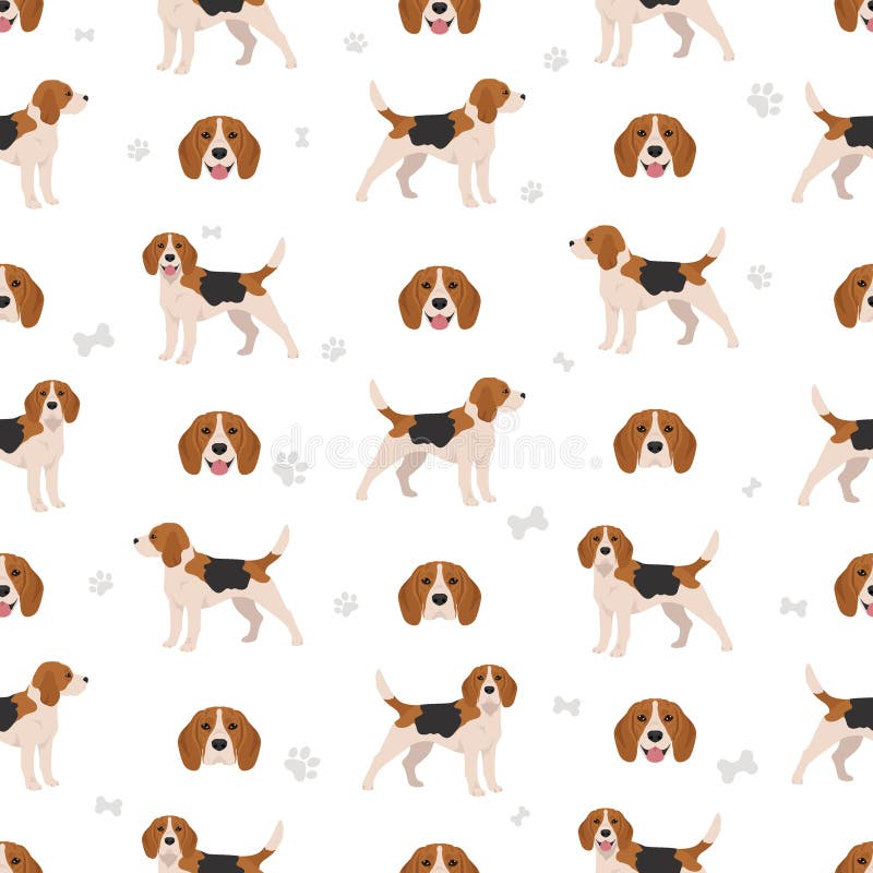 Beagle Dog Dog Seamless Pattern. All Coat Colors Set Stock Vector ...