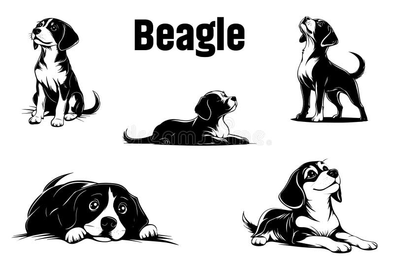 Beagle dog vector file stock illustration. Illustration of monochrome ...