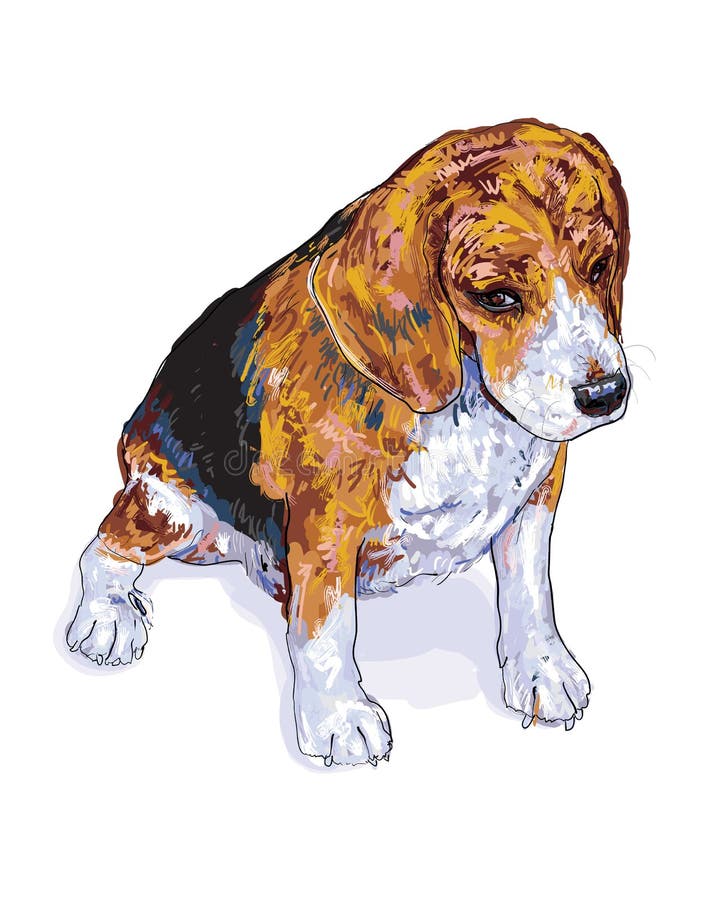 Beagle_Vector stock vector. Illustration of brown, animal - 27867157