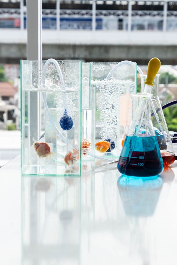 Beaker and fish bowl. stock image. Image of fluid, bowl - 121708039