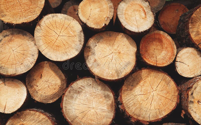 Timper Background Stock Photos - Free & Royalty-Free Stock Photos from ...