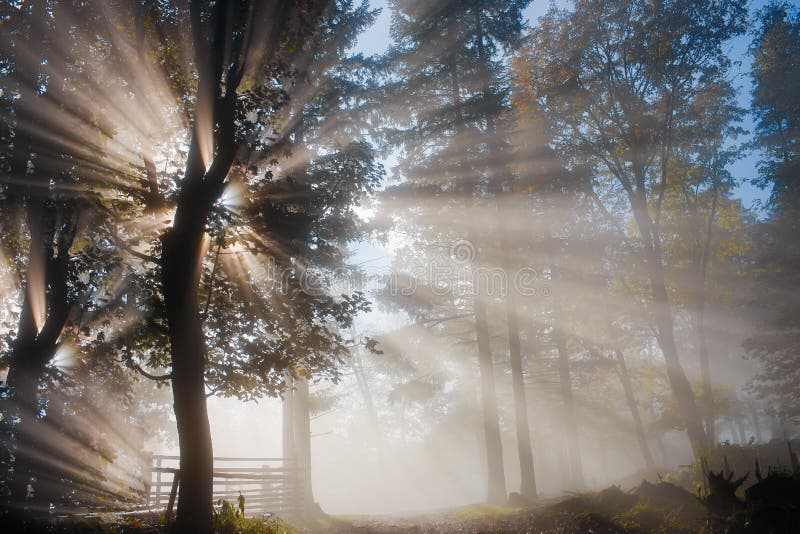 Beams of light stock image. Image of landscape, mister - 60304893