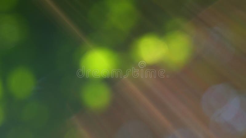 Beams of Light. Soft Sunrays through Foliage of Plants. Blurred ...