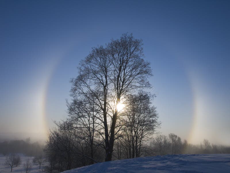 Beams of a Winter Rising Sun. Stock Photo - Image of nature, round ...