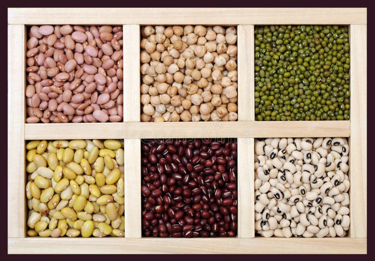Bean stock image. Image of bean, divide, variety, arranged - 29605075
