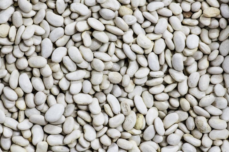 Bean Beans are Abundant. Big Pile To Eat Stock Image - Image of diet ...