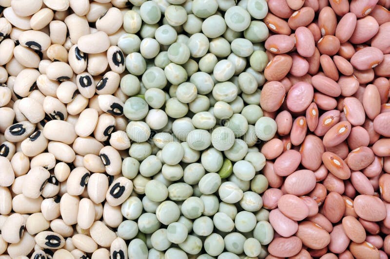 Bean stock image. Image of organic, black, healthy, color - 31754591