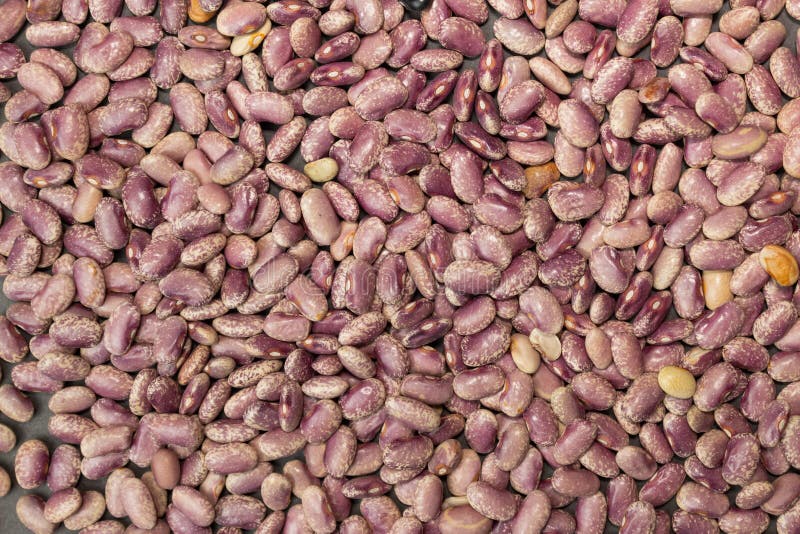 Bean bottom texture. stock photo. Image of vegan, nutritionist - 249913722