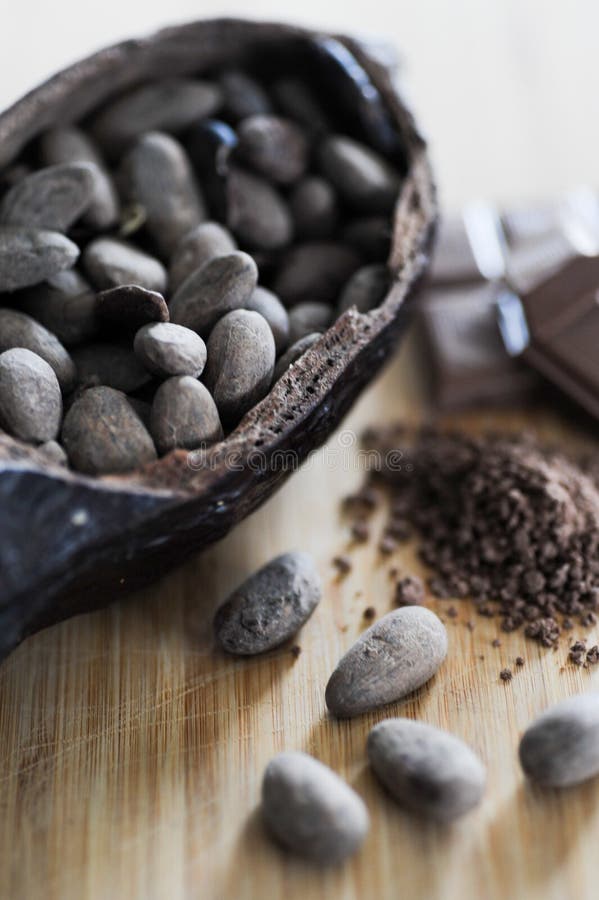 Bean of cocoa stock image. Image of forms, ingredient - 85909477