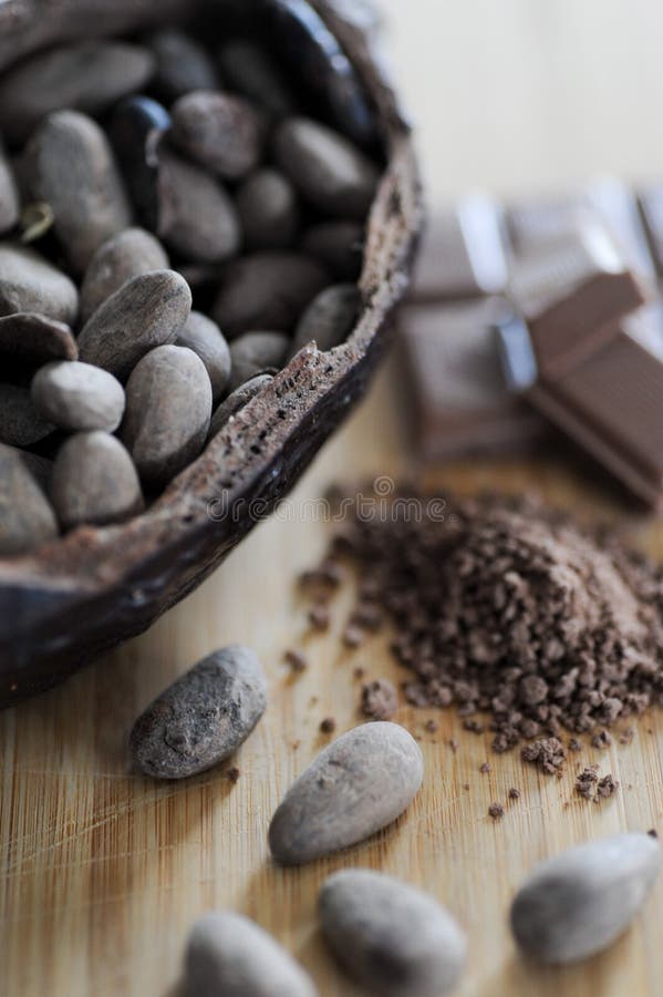 Bean of cocoa stock photo. Image of bean, agriculture - 85909534