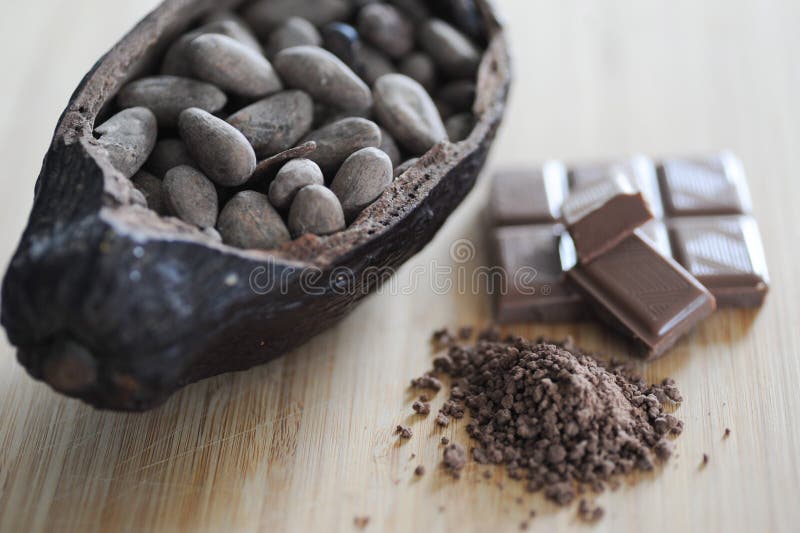 Bean of cocoa stock photo. Image of butter, chocolate - 85909620