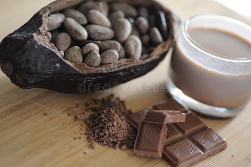 Bean of cocoa stock image. Image of cultivate, agriculture - 85909639