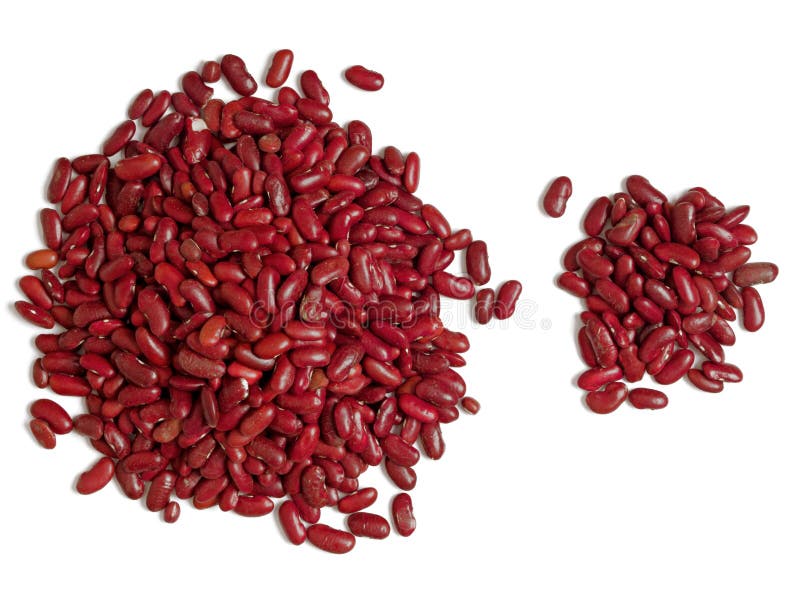 Bean Counter Machine