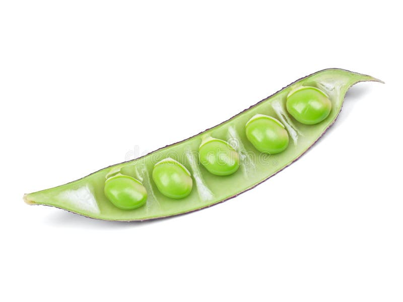 Bean stock image. Image of dolichos, green, peeled, health - 30639767