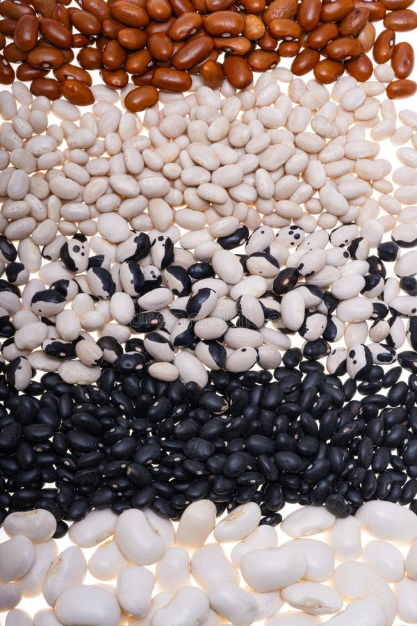 Bean mix isolated stock photo. Image of vegetarian, mixed - 365384918