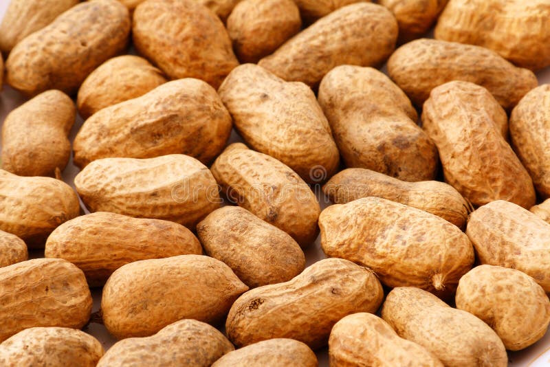 Bean stock photo. Image of thai, green, food, peanut - 59019810