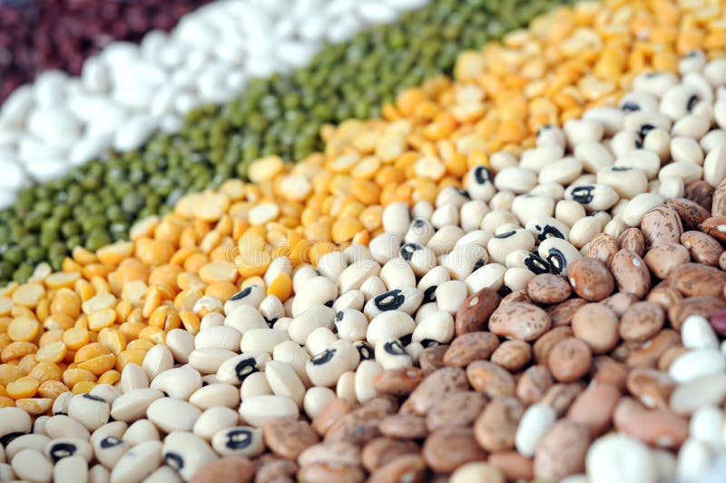 Mung and Black Eye Beans stock image. Image of black - 28456121