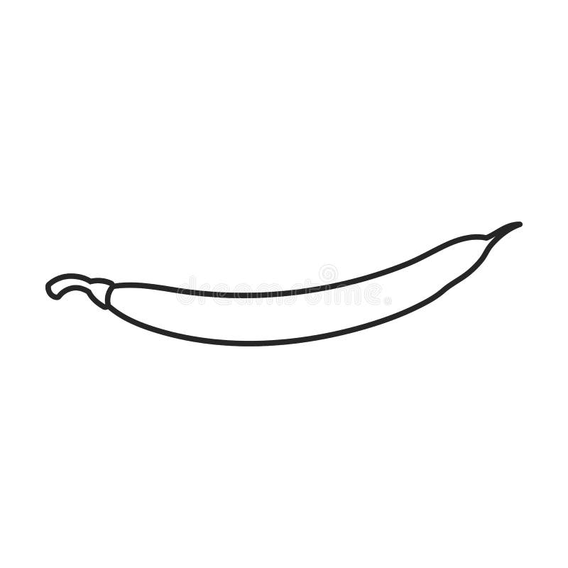 Bean of Pod Vector Icon.Outline Vector Icon Isolated on White ...