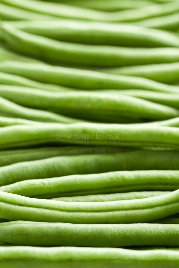 String bean in pods stock photo. Image of health, nutrition - 5625902