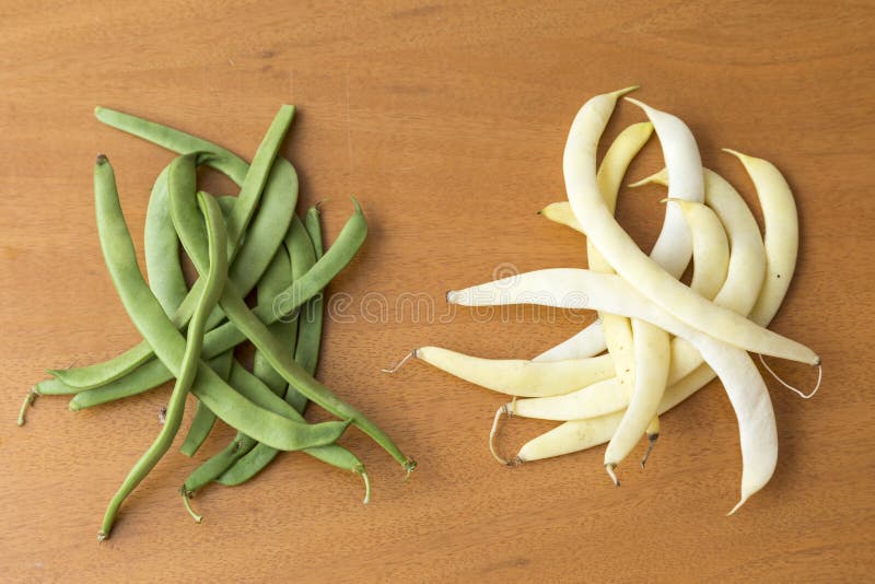 Bean Pods of Different Colors Stock Image - Image of ecology, variety ...