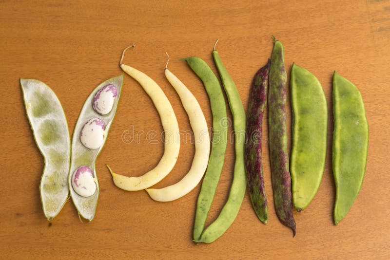 Bean Pods of Different Types Stock Photo - Image of garrofon, grain ...