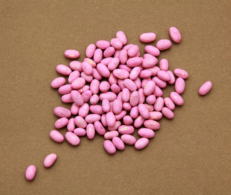 Bean seed germination stock image. Image of small, germinating - 13638971