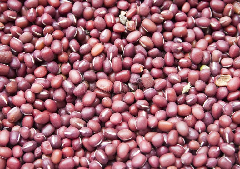 Bean seeds stock image. Image of frame, nature, provisions - 13310763