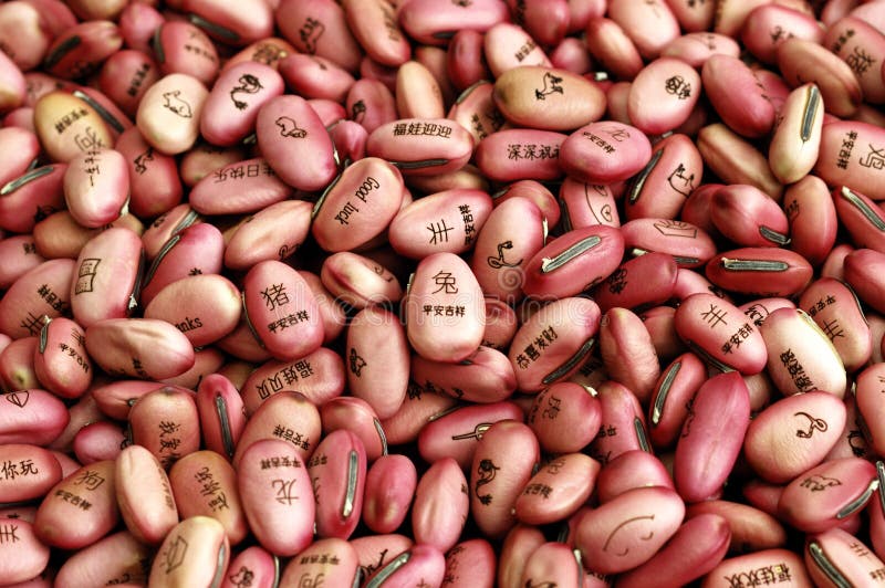 Bean Seeds Picture. Image: 5004813