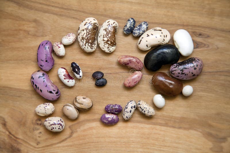 Bean seeds stock image. Image of wood, seeds, kidney - 47228897