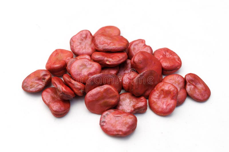 Bean Seeds for Planting Isolate Stock Photo - Image of gardening ...
