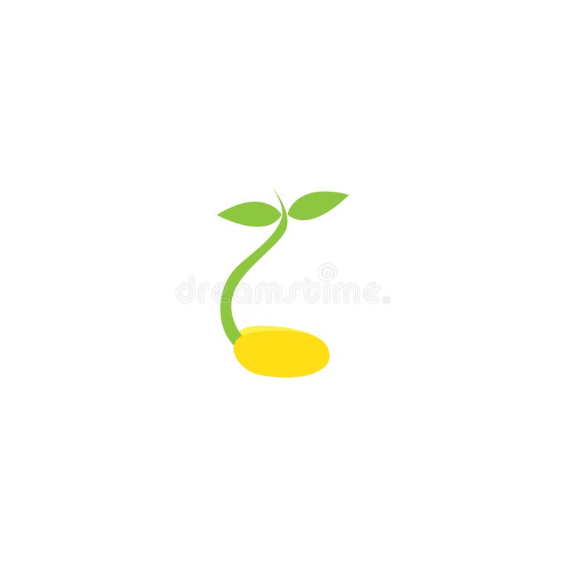 Bean Sprout Illustration Free Stock Vector - Illustration of organic ...