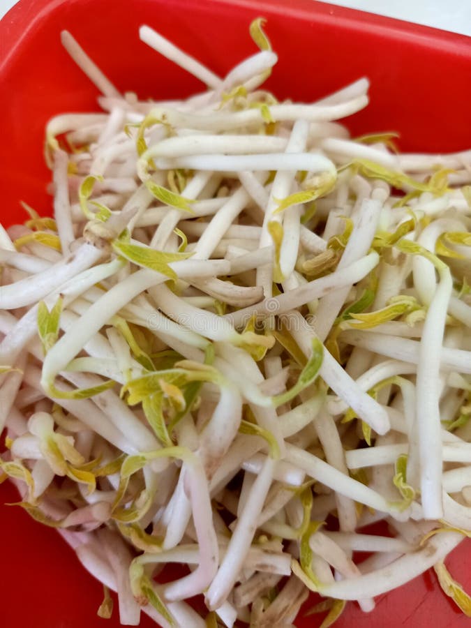 Bean Spro Stock Photos - Free & Royalty-Free Stock Photos from Dreamstime