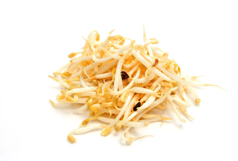 Bean sprouts stock image. Image of cook, germinate, cuisine - 25826209