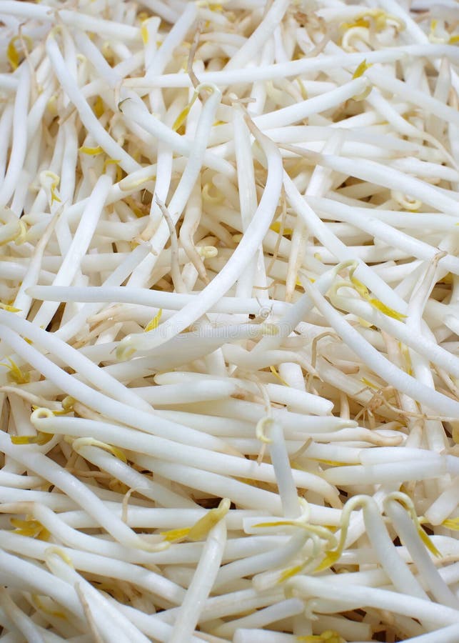 Bean sprouts stock image. Image of vegetarian, mealtime - 27882153