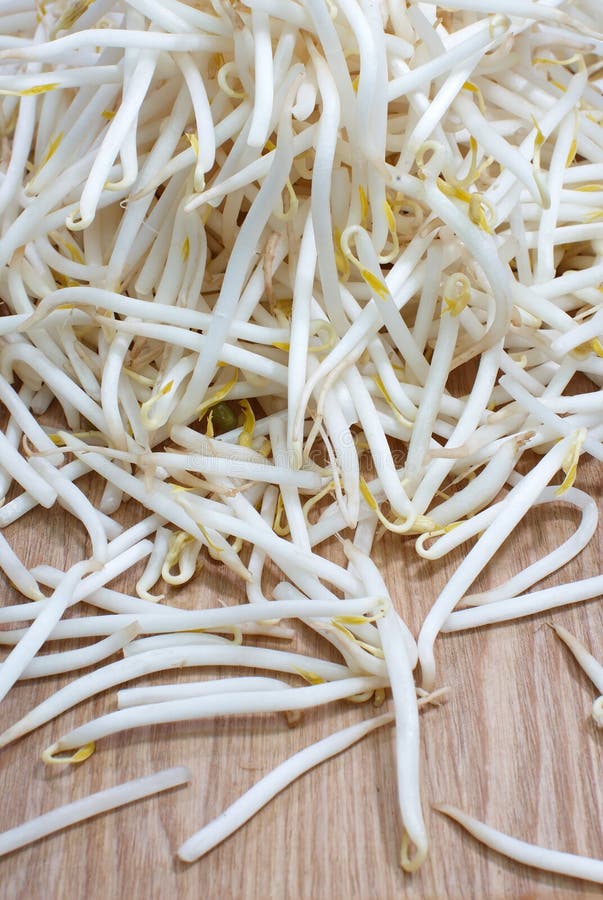 Fresh Bean Sprouts stock image. Image of asian, sprout - 2302303