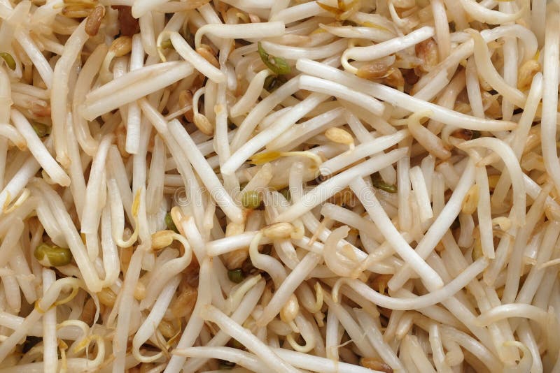 Bean sprouts background stock image. Image of bean, texture - 65822411