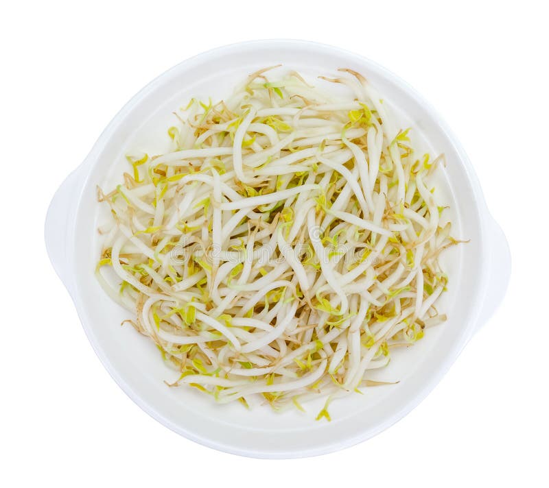 Bean Sprouts with Dish Isolated on White Background Stock Image - Image ...