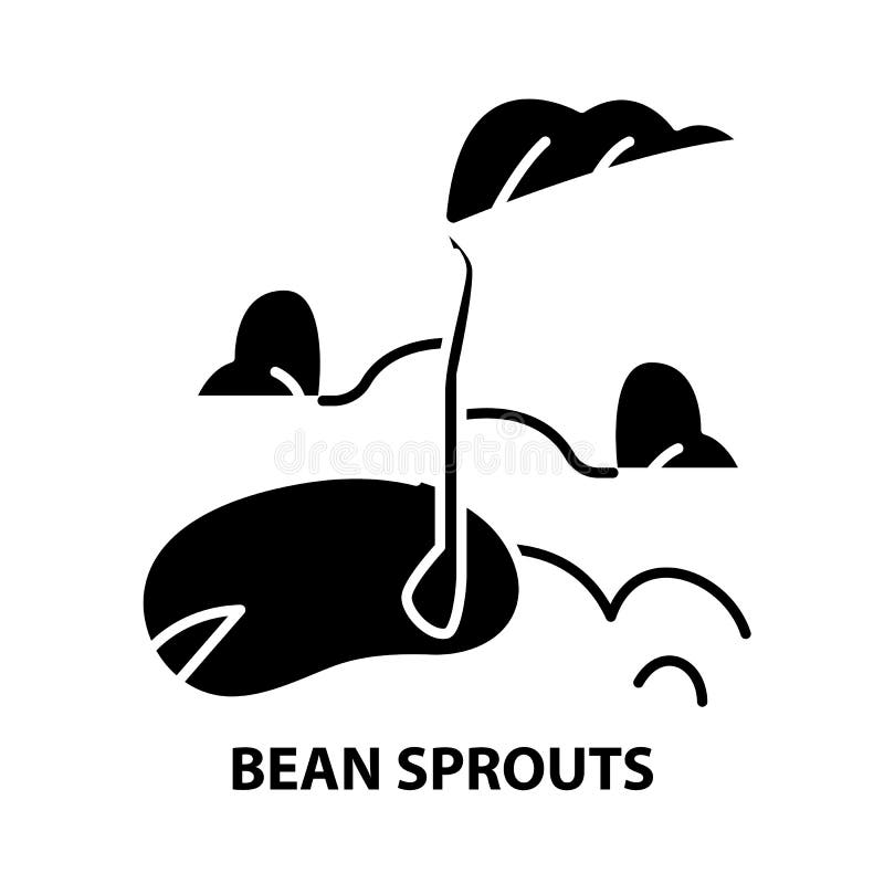 Mung Bean Sprouts Stock Illustrations – 56 Mung Bean Sprouts Stock ...