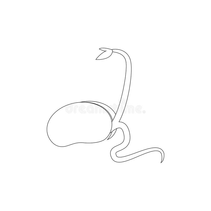 Bean Sprouts Icon Illustration Design Stock Illustration - Illustration ...