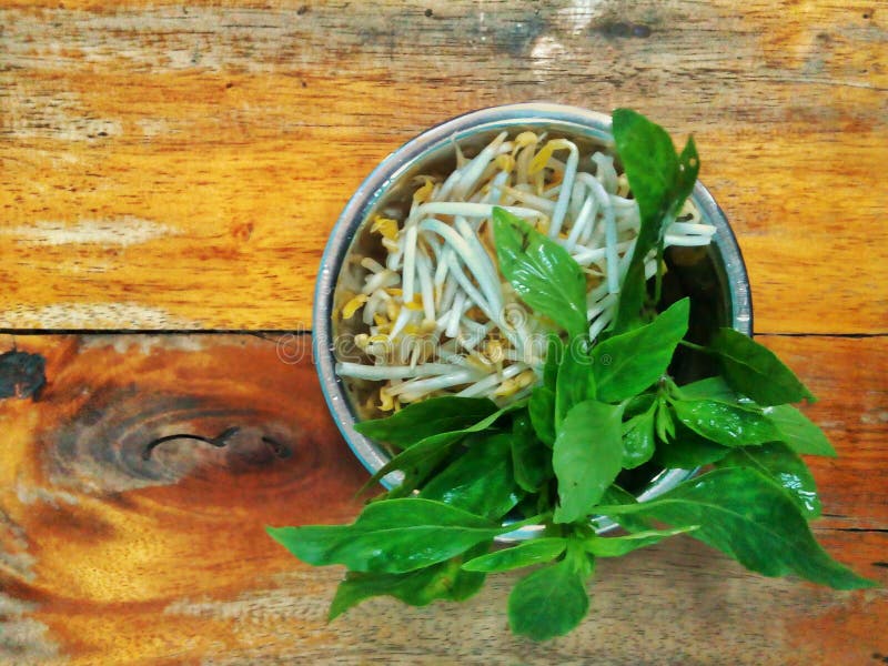 Bean sprouts stock image. Image of vegetable, sprouts - 73942023