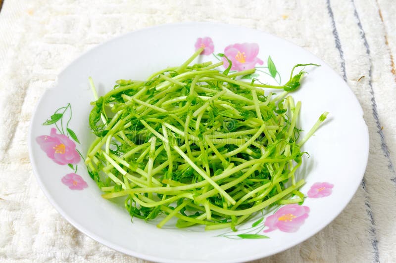 Bean sprouts vegetable stock photo. Image of bean, delicious - 44765430