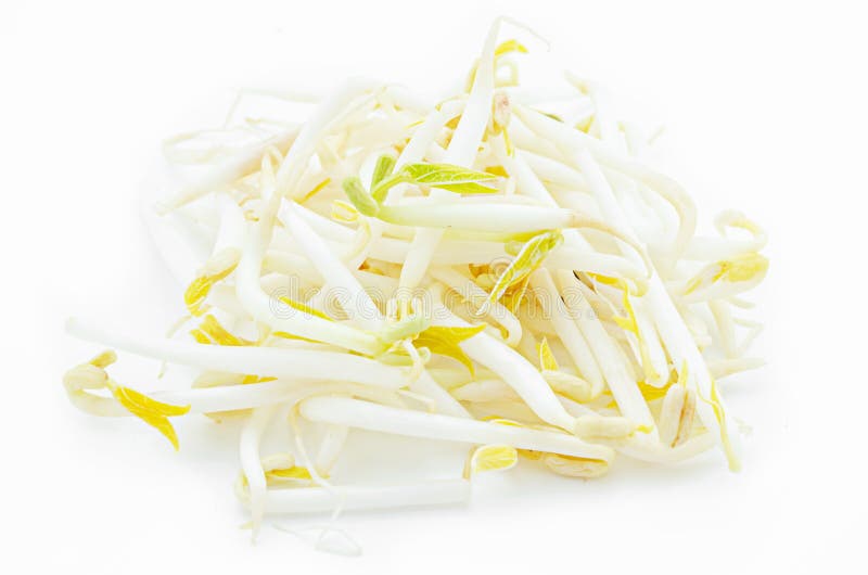 Bean Sprouts on White. stock photo. Image of soya, asian - 69185550