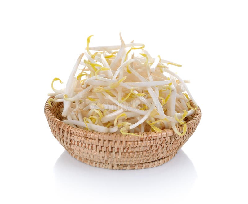 Bean Sprouts on White Background Stock Photo - Image of soja, asian ...