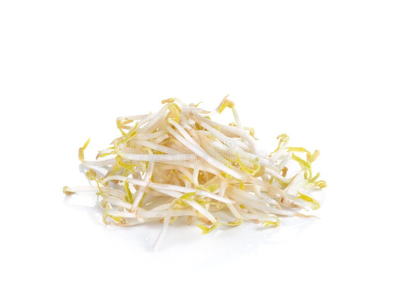 Bean Sprouts on White Background Stock Photo - Image of soya, bean ...
