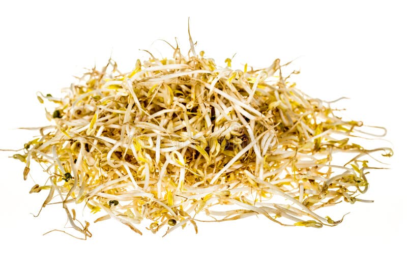 Bean Sprouts on White Background Stock Photo - Image of food, pile ...