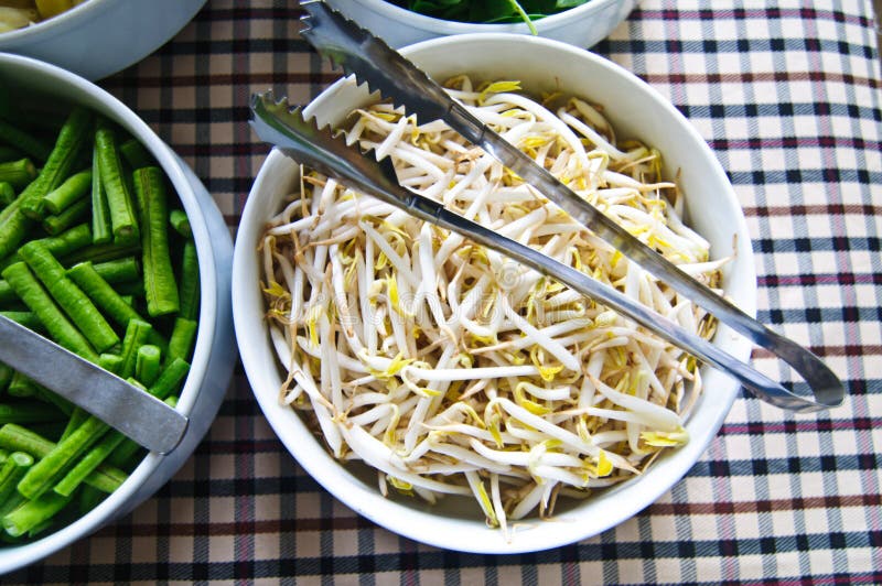 Bean sprouts stock image. Image of fresh, vegetable, asian - 34947055