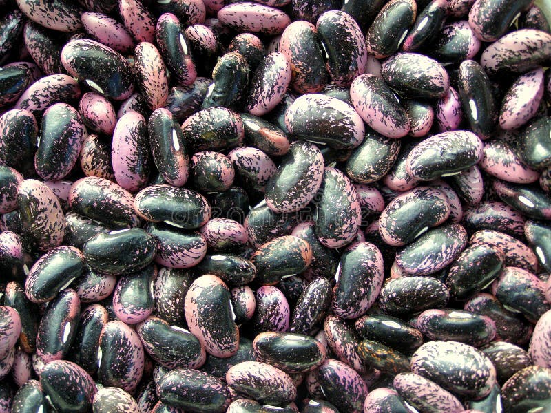Bean texture stock photo. Image of fare, detail, abstract - 11536830